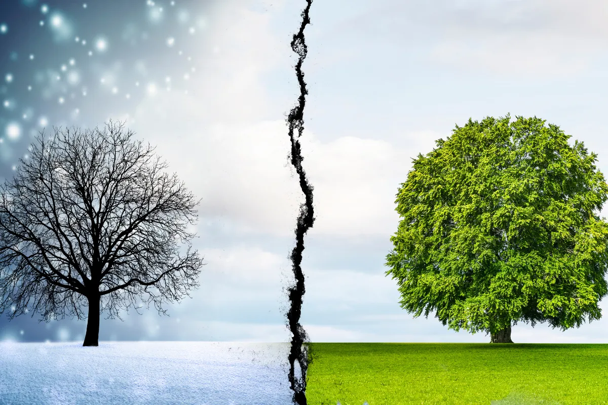 Musim dan Cuaca dalam Bahasa Inggris serta Contohnya - Fun English Course